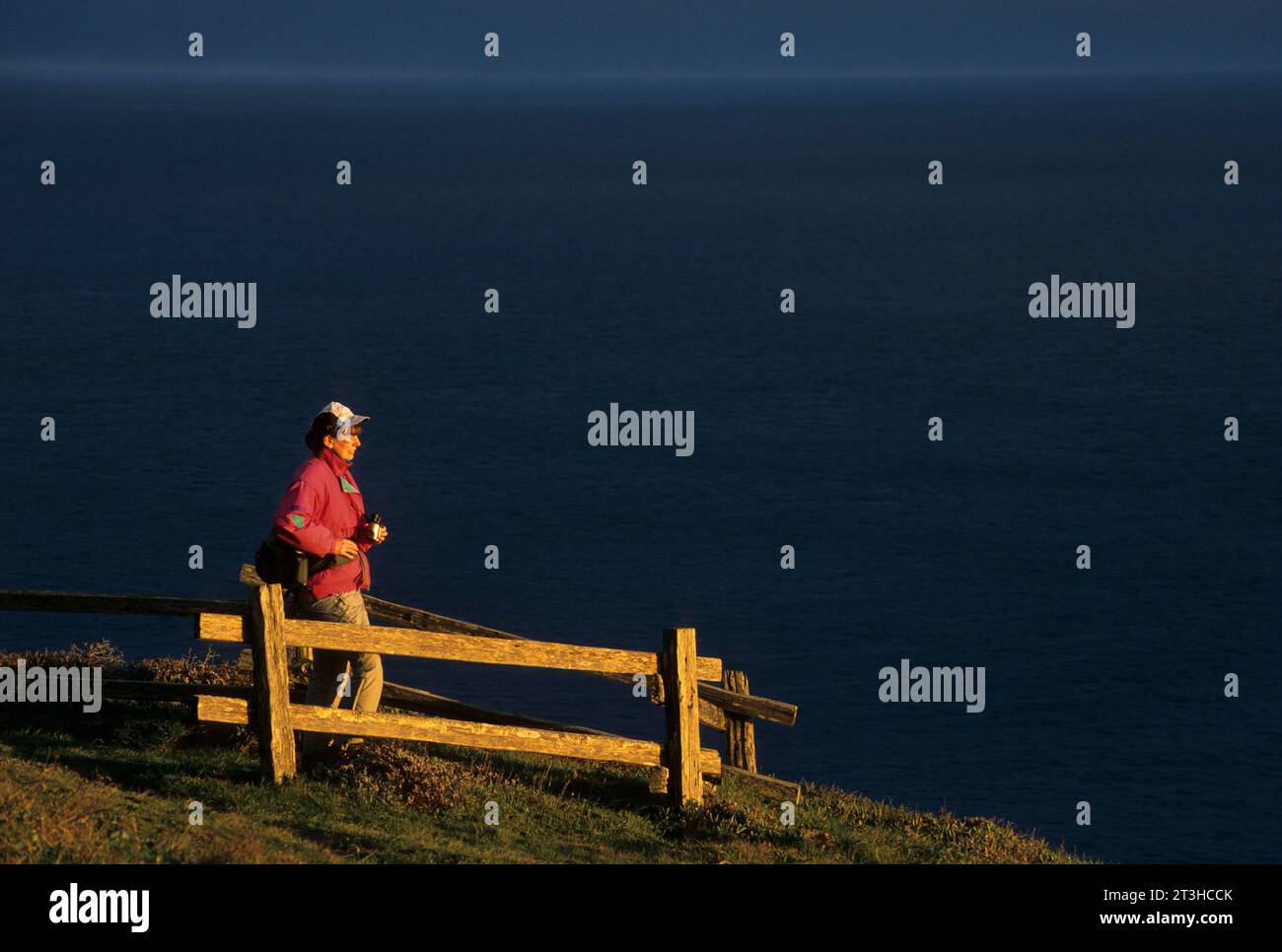 Viewpoint from Chimney Rock Trail, Point Reyes National Seashore ...