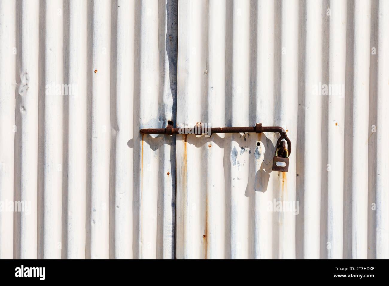 Rusty lock bolt with padlock on white painted corrugated iron doors ...