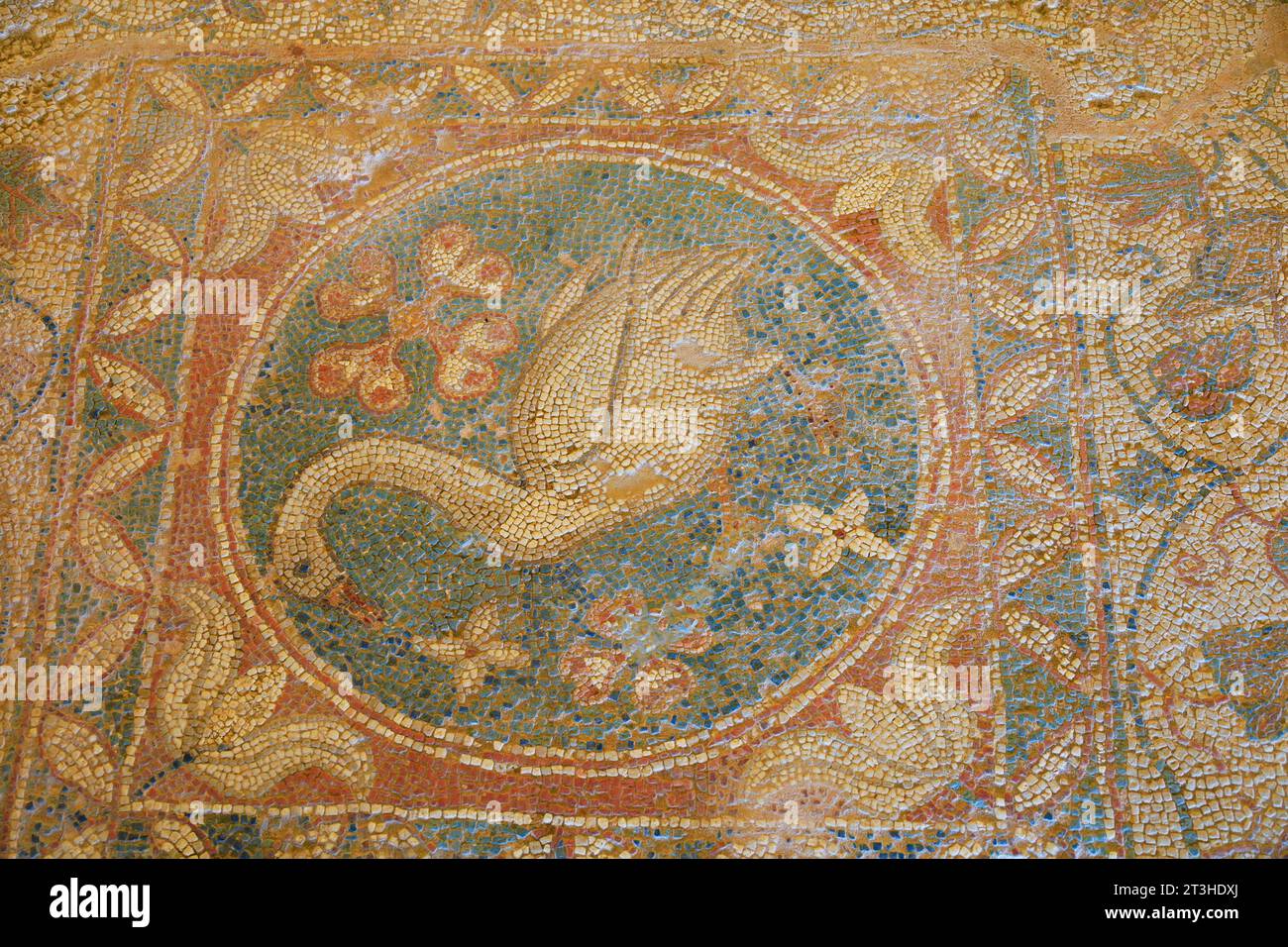 Swan mosaic in the St Auxibus Basilica, Soloi, Morfou, Turkish Republic ...