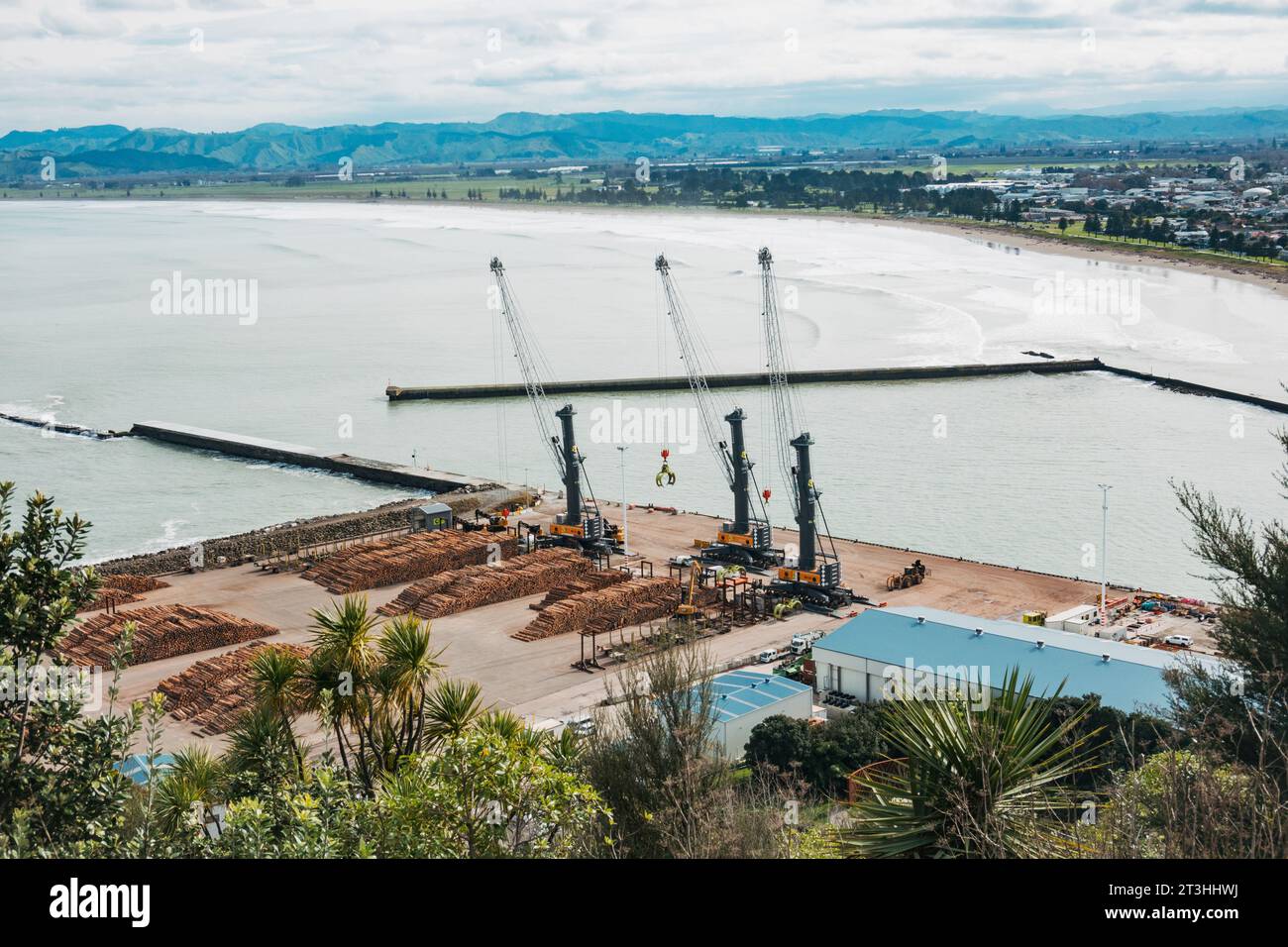 Logs cargo hi-res stock photography and images - Alamy