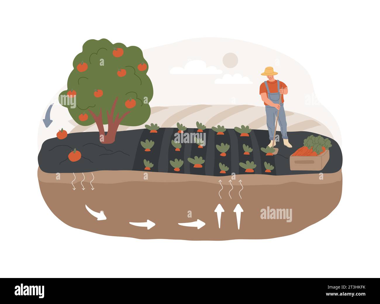 Biological cycle isolated concept vector illustration. Plant uptake and ...