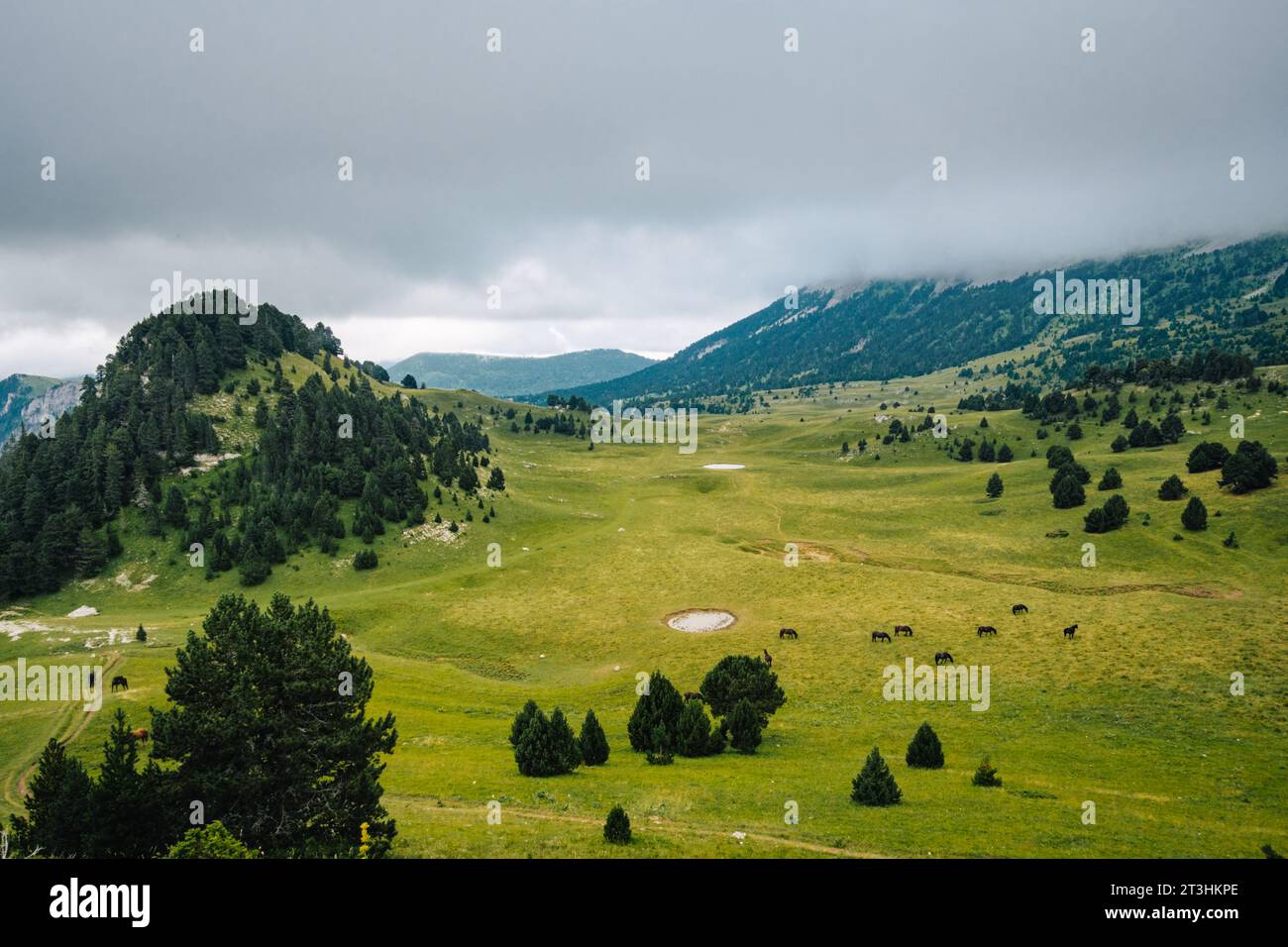 View of the alpine meadows, forest, and cliffs of the Vallon De Combeau ...