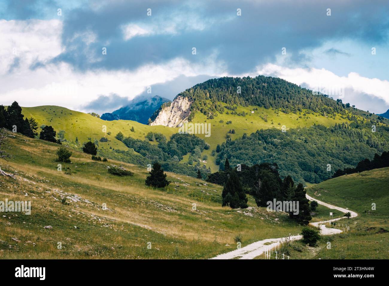 View of the alpine meadows, forest, and cliffs of the Vallon De Combeau ...