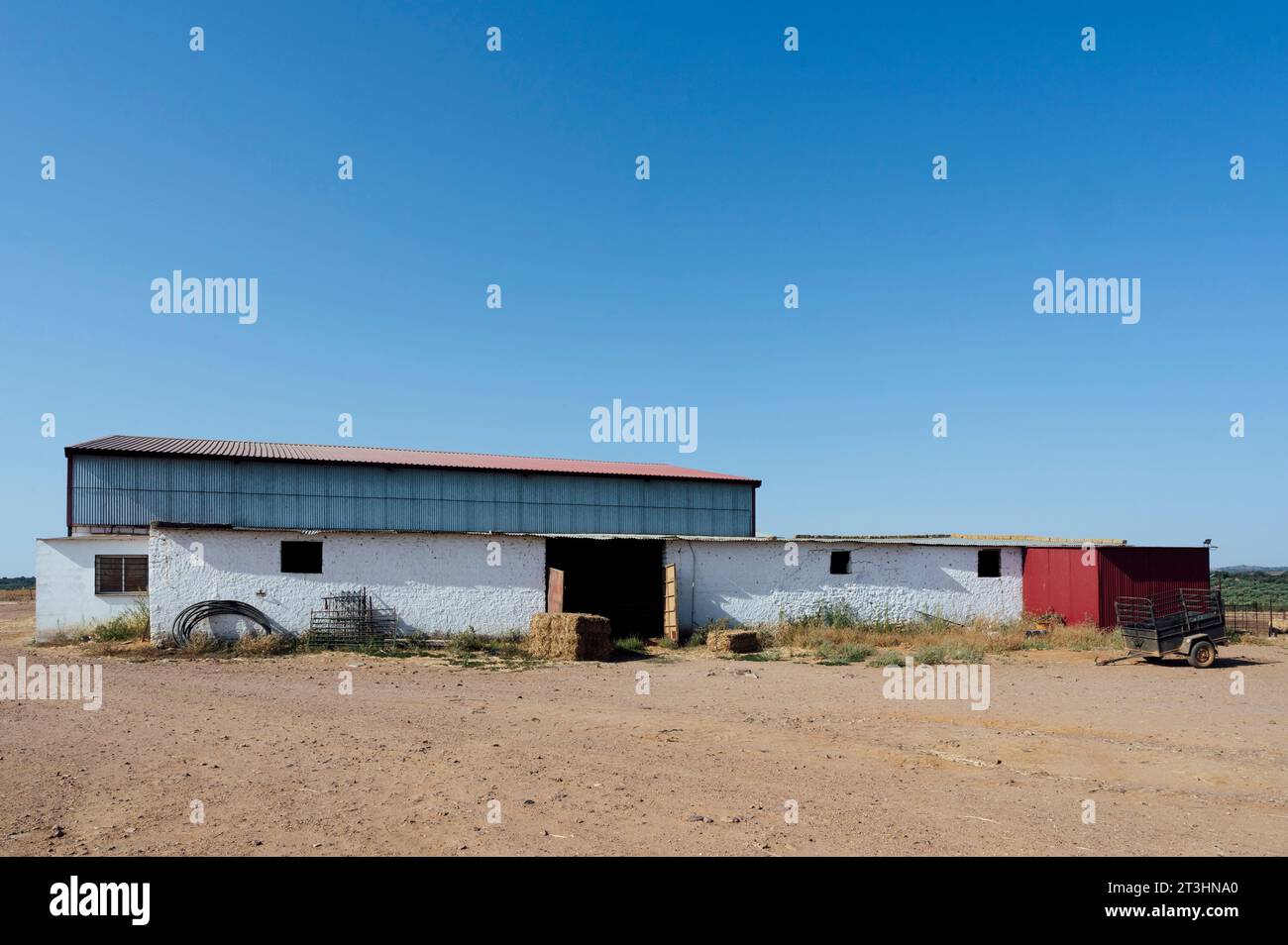Old Barn With Herd Of Sheep Stock Photo - Alamy