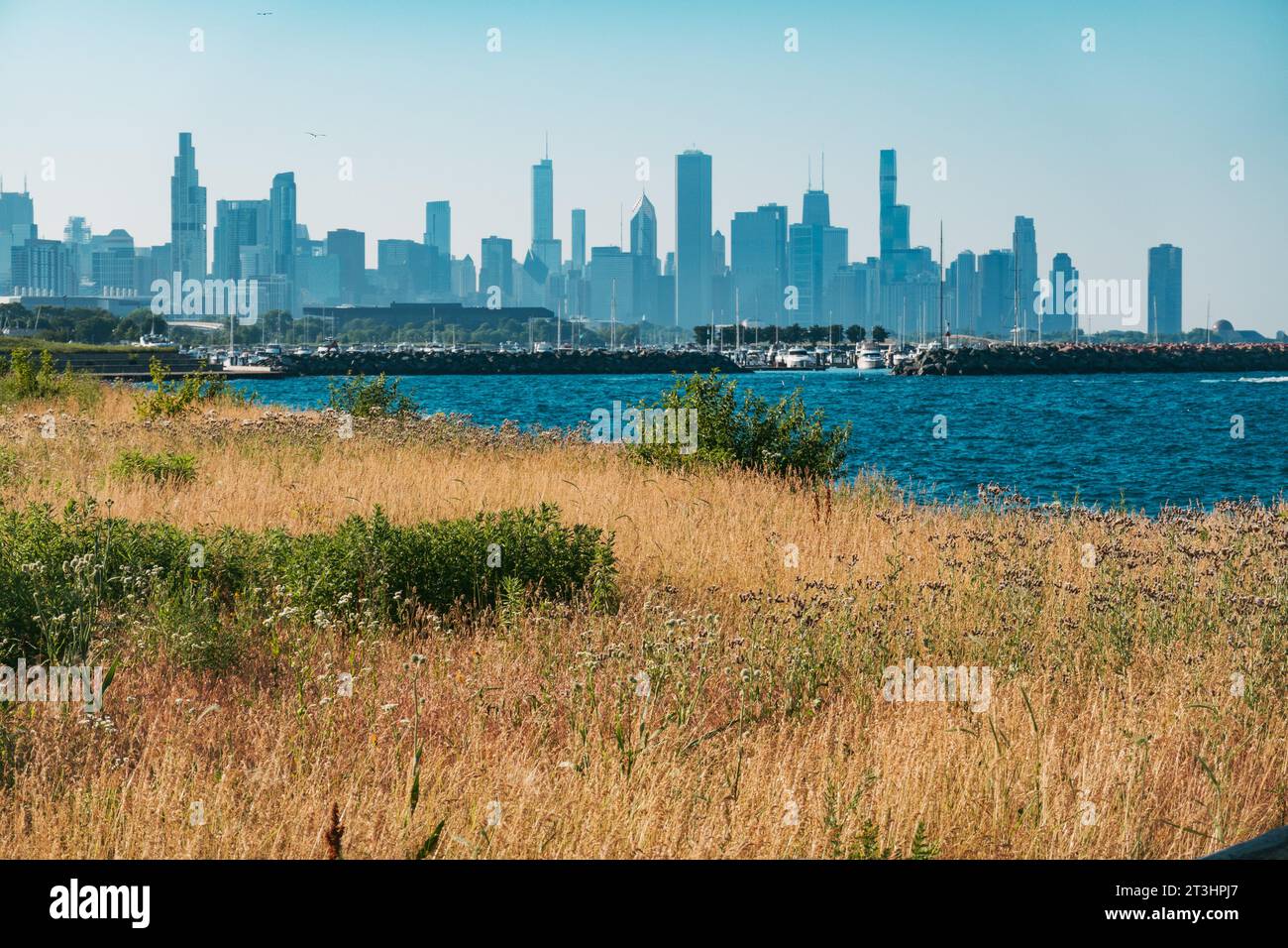 the Chicago city skyline seen from Burnham Park on the shores of Lake ...