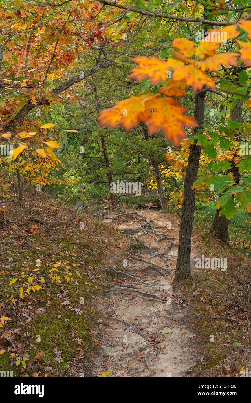 Autumn landscape on the Bluff Trail at Starved Rock State Park ...