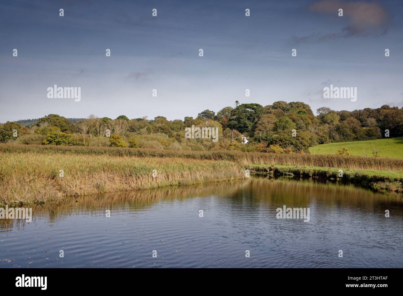 The meandering River Fowey near Losthwithiel, Cornwall Stock Photo - Alamy