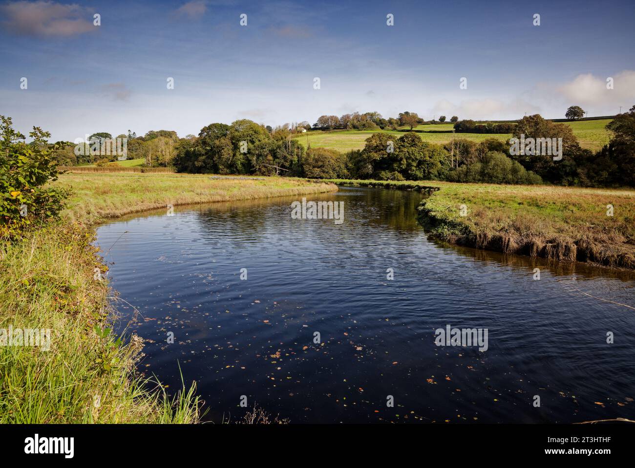 River Fowey, Cornwall Stock Photo - Alamy