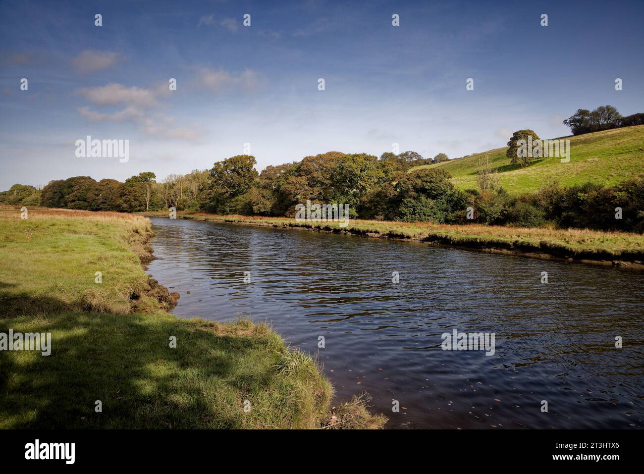 Lostwithiel cornwall hi-res stock photography and images - Alamy