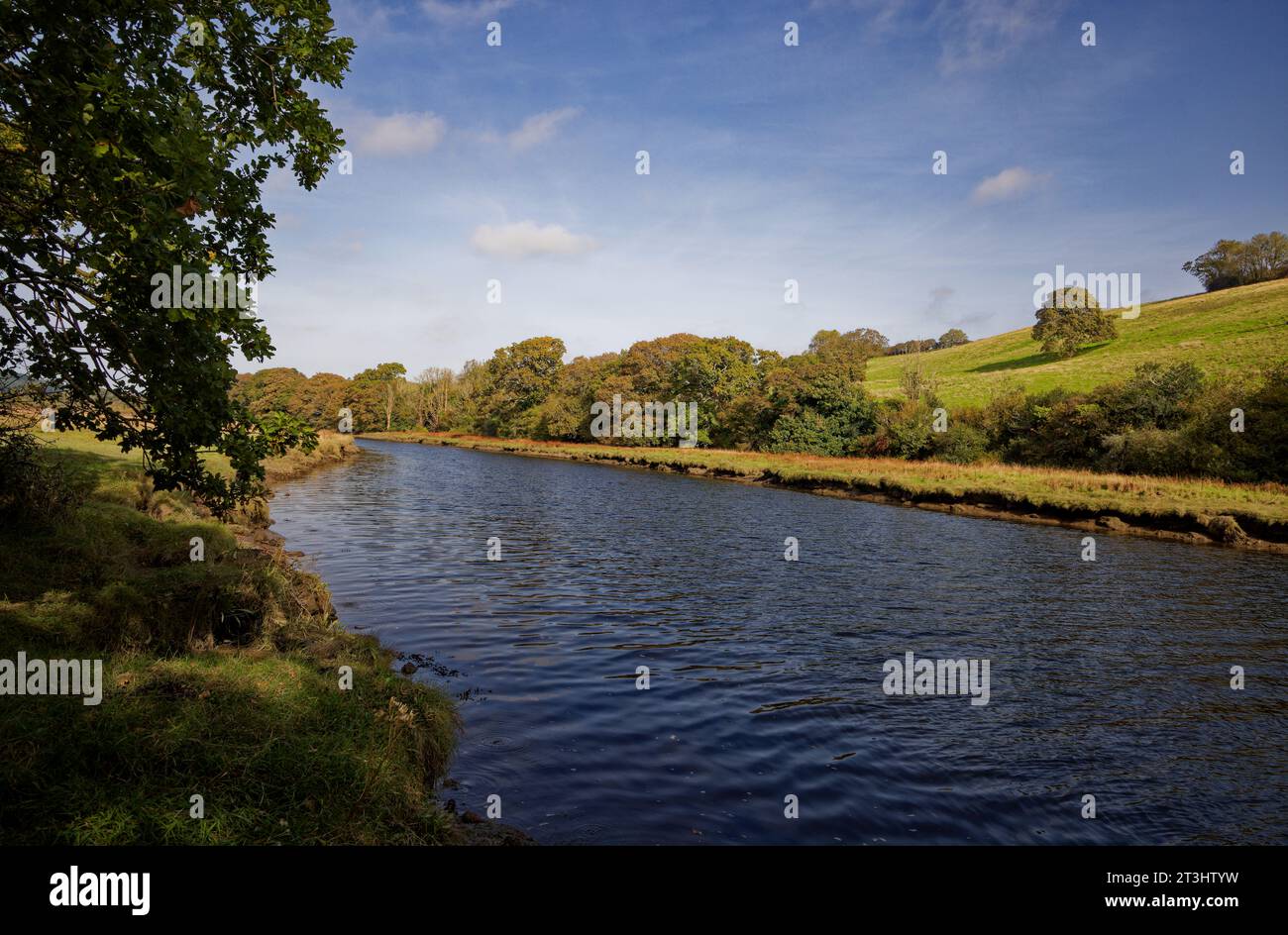 Lostwithiel cornwall hi-res stock photography and images - Alamy