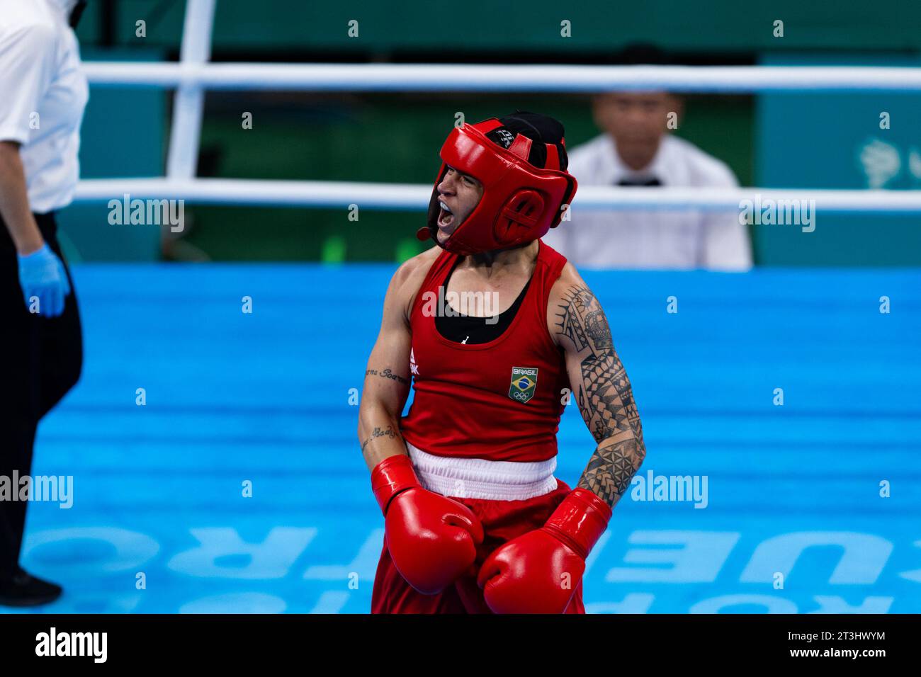 Santiago, Brazil. 25th Oct, 2023. CHILE - SANTIAGO - 10/25/2023 - PAN ...