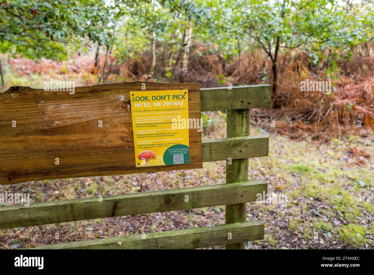 Look, Dont Pick, sign in English and Polish, it being an offence to ...
