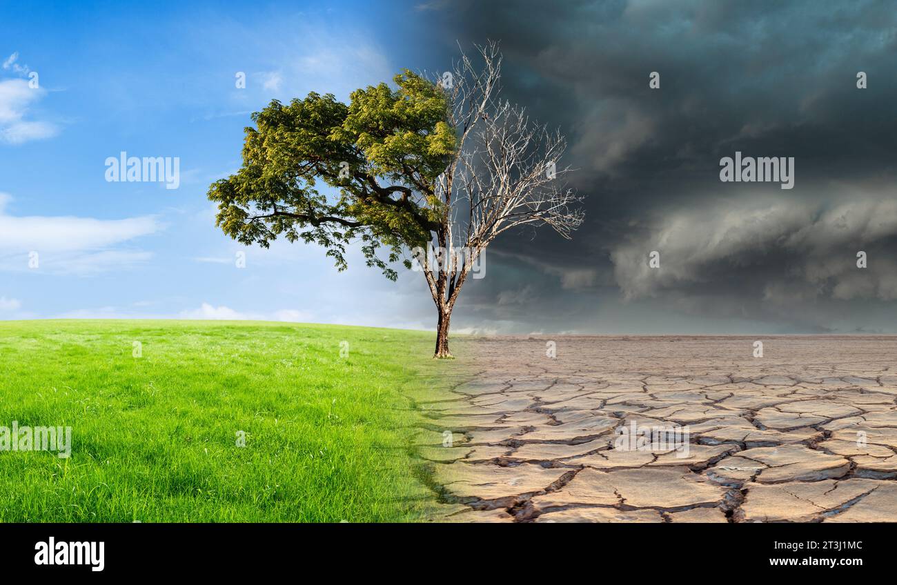 Landscape with green grass with a tree and a dried desert. Global ...