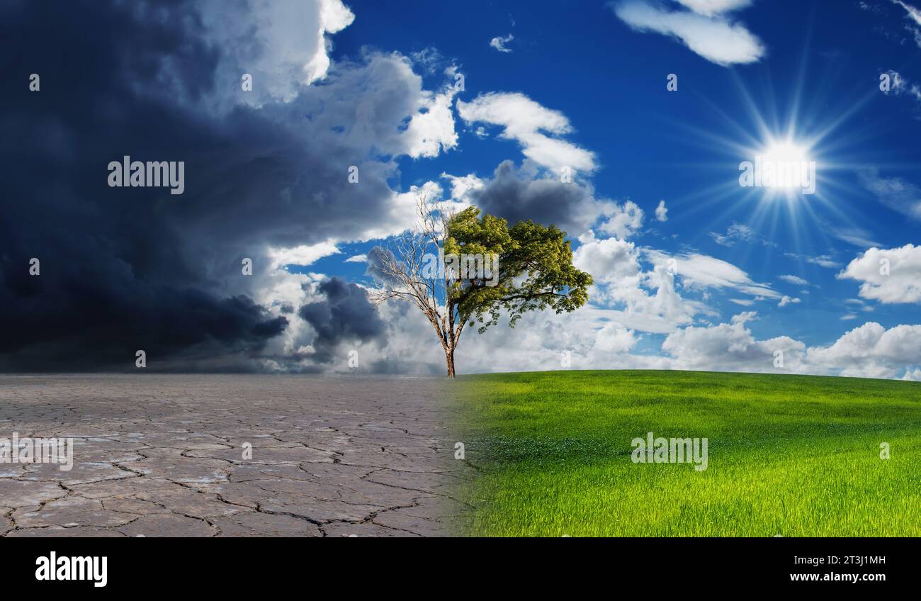 Landscape of meadow field with the changing environment concept of ...