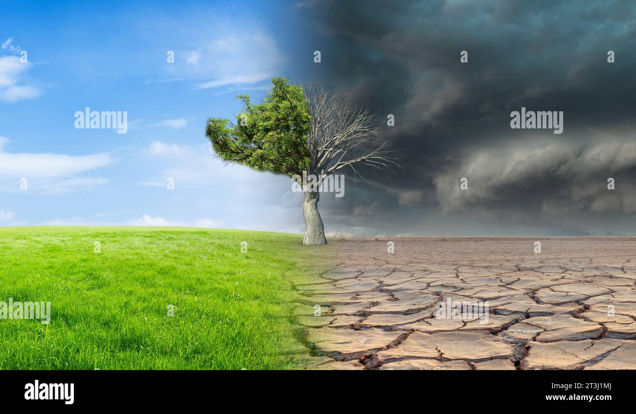 Landscape with green grass with a tree and a dried desert. Global ...