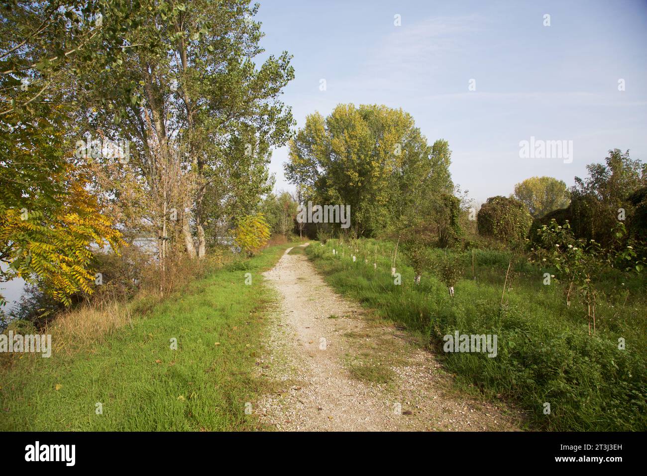 Path in a park by the lakeshore at sunset Stock Photo - Alamy