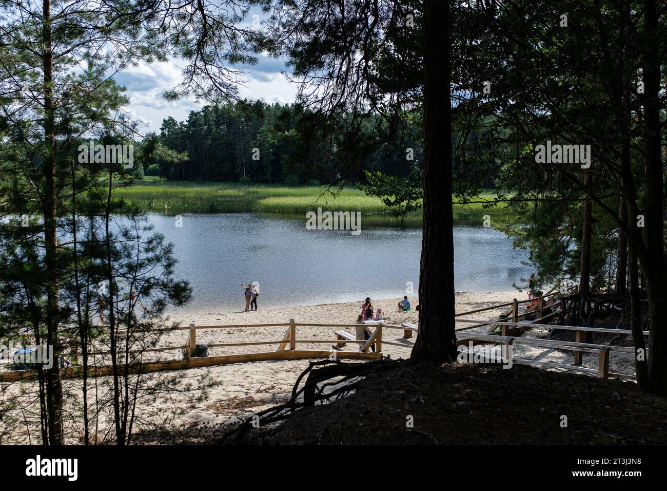 Roztoczanski national park hi-res stock photography and images - Alamy