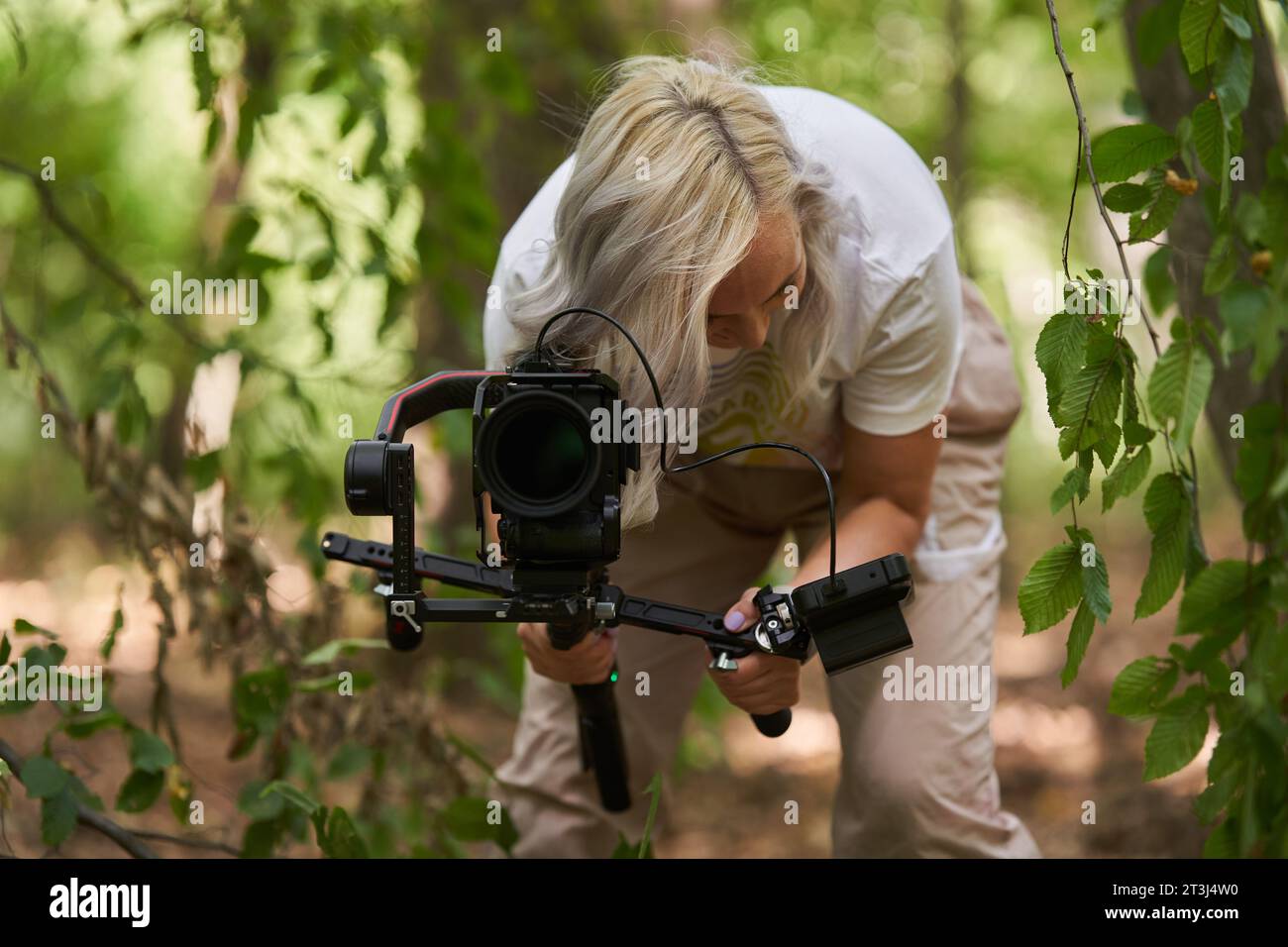 Nature videographer woman with camera on gimbal in the forest Stock ...