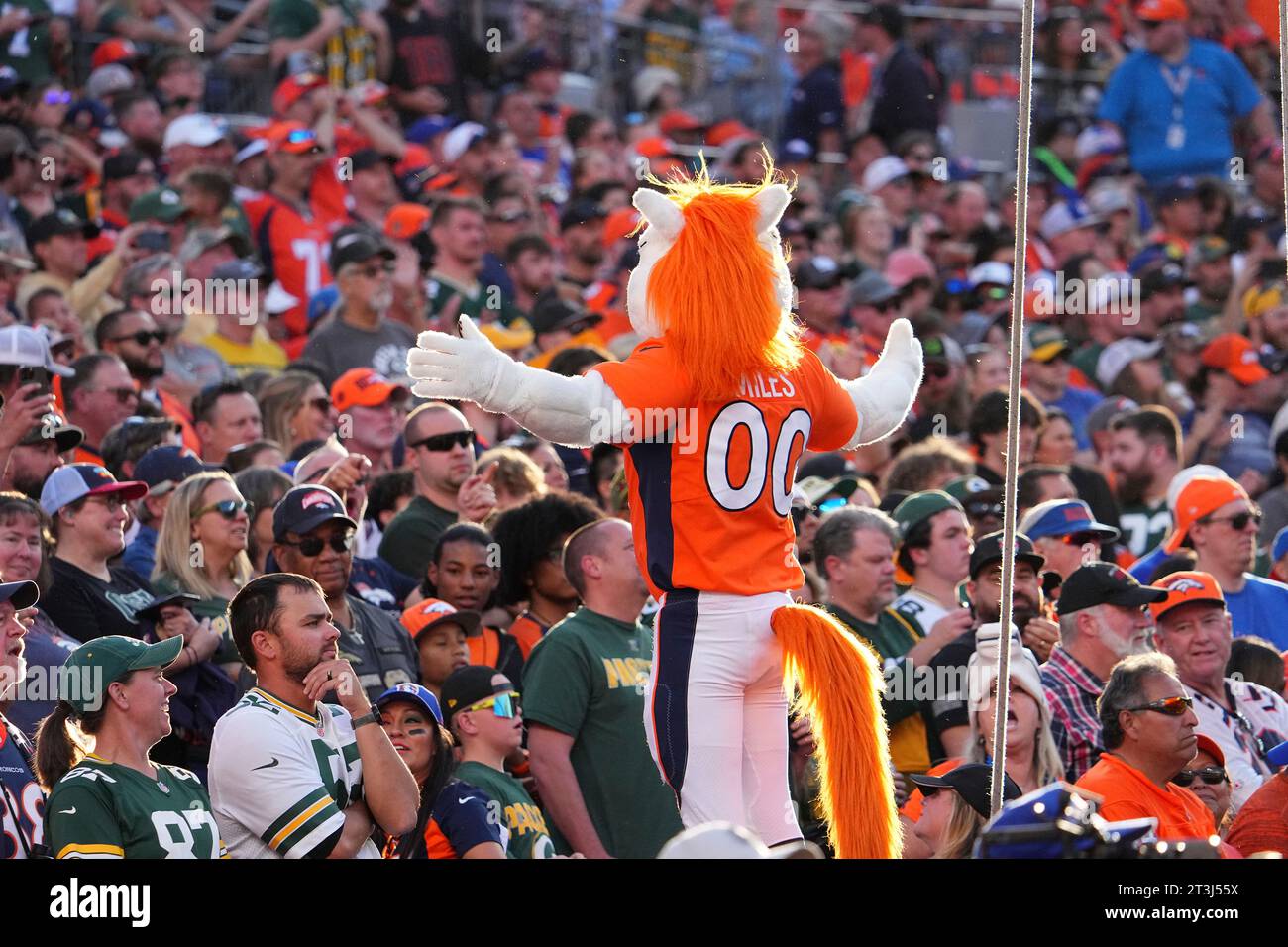 Denver Broncos mascot Miles against the Green Bay Packers of an NFL ...