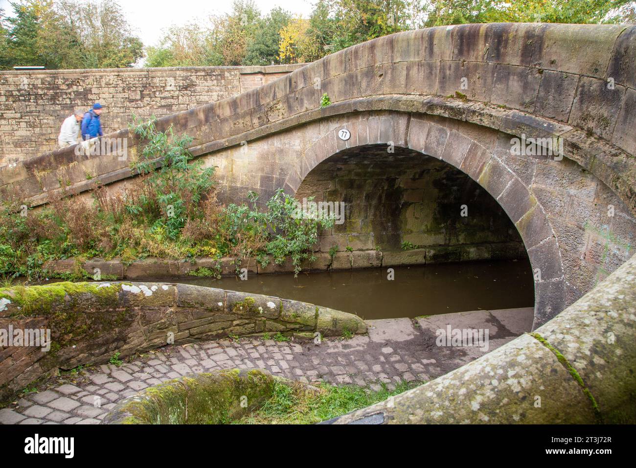 Snake bridge hi-res stock photography and images - Alamy