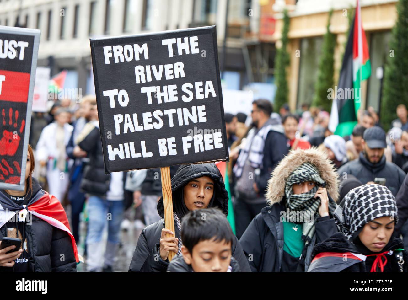 London, U.K. - 21 Oct 2023.: A protestor holds up a 'From the river to ...