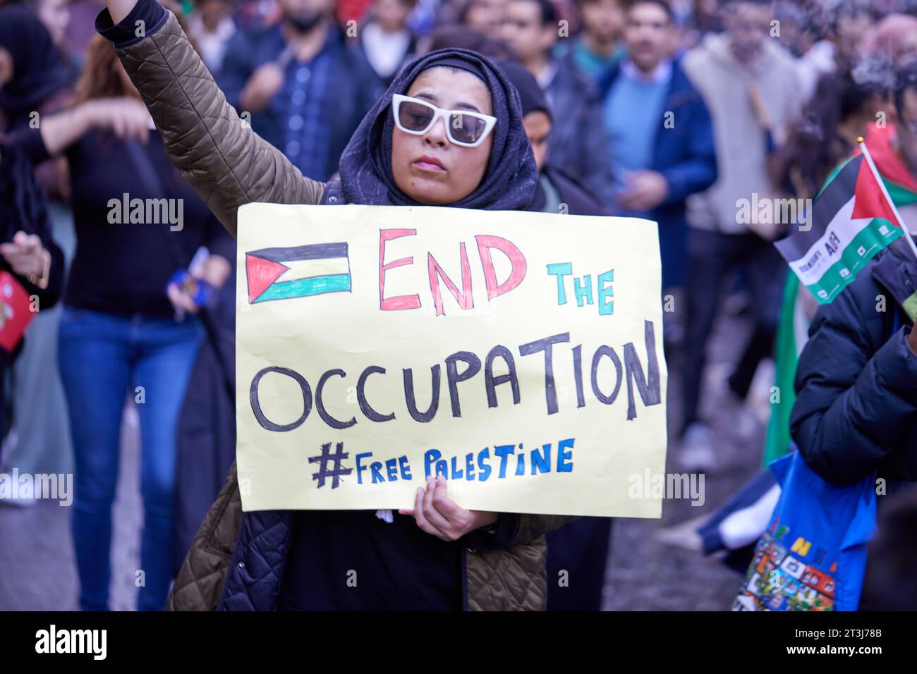 London, U.K. - 21 Oct 2023.: A protestor holds up a 'End the Occupation ...