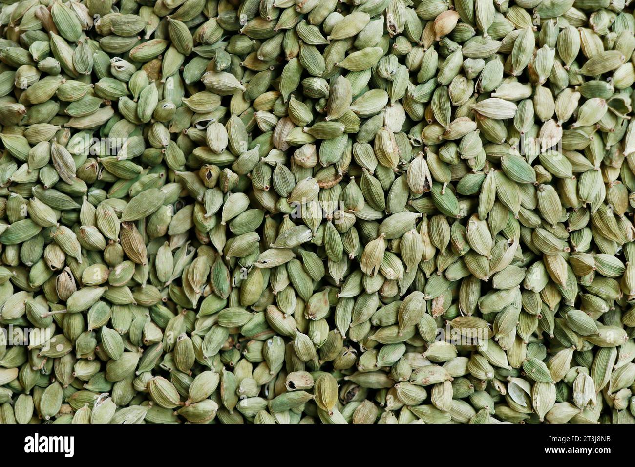 dried green cardamom in a spices stall market for sell in close up ...