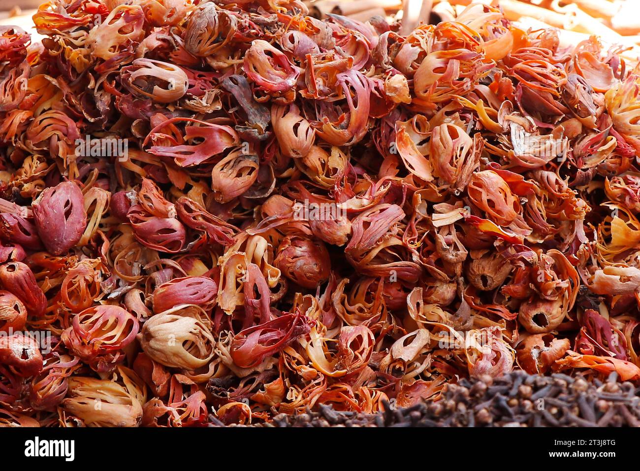 nut mace, Mace is the spice made from the reddish seed covering (aril) of the nutmeg seed. plant ...