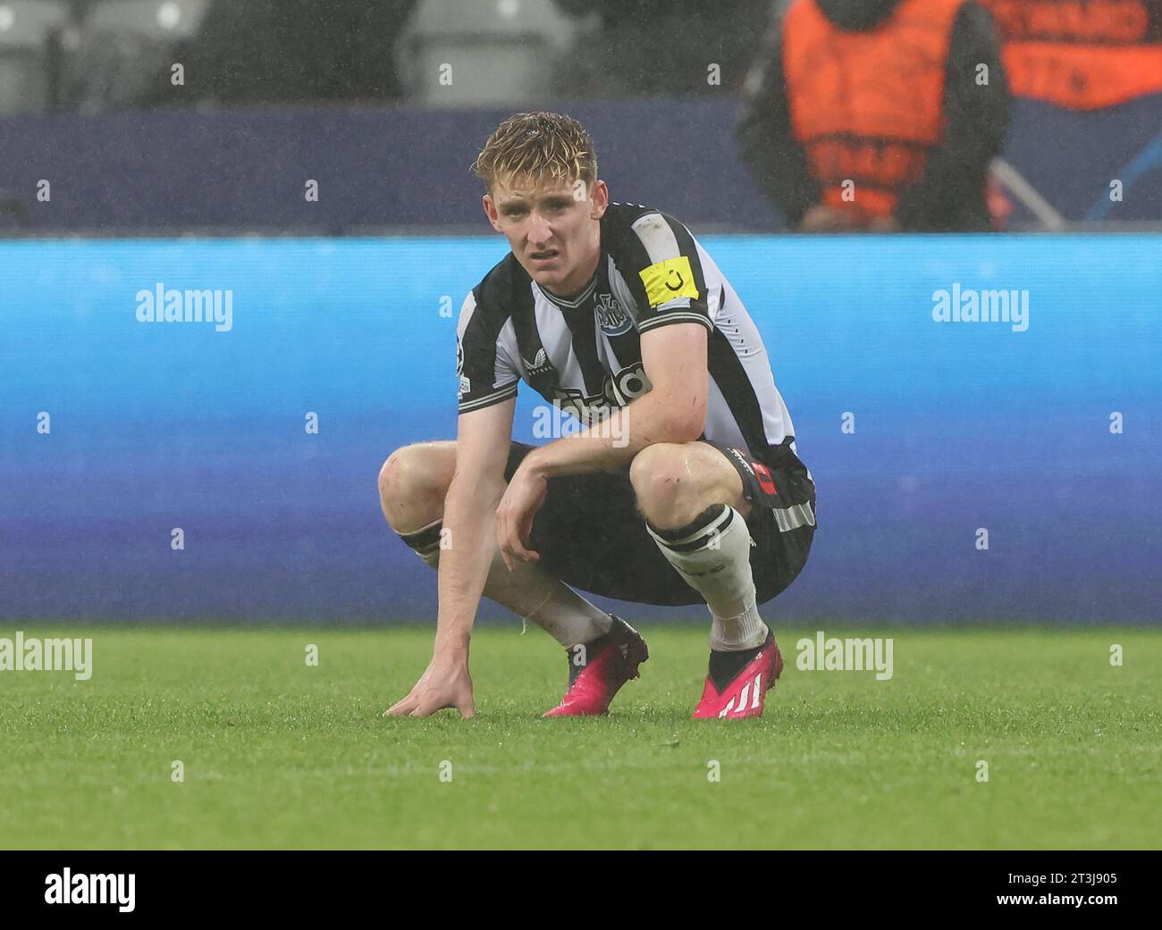 Newcastle Upon Tyne, UK. 25th Oct, 2023. Anthony Gordon of Newcastle ...