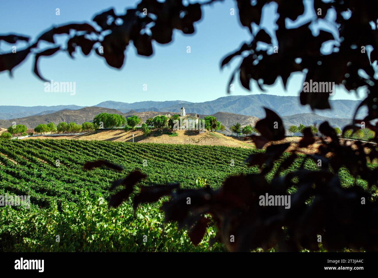 Luxorius hi-res stock photography and images - Alamy