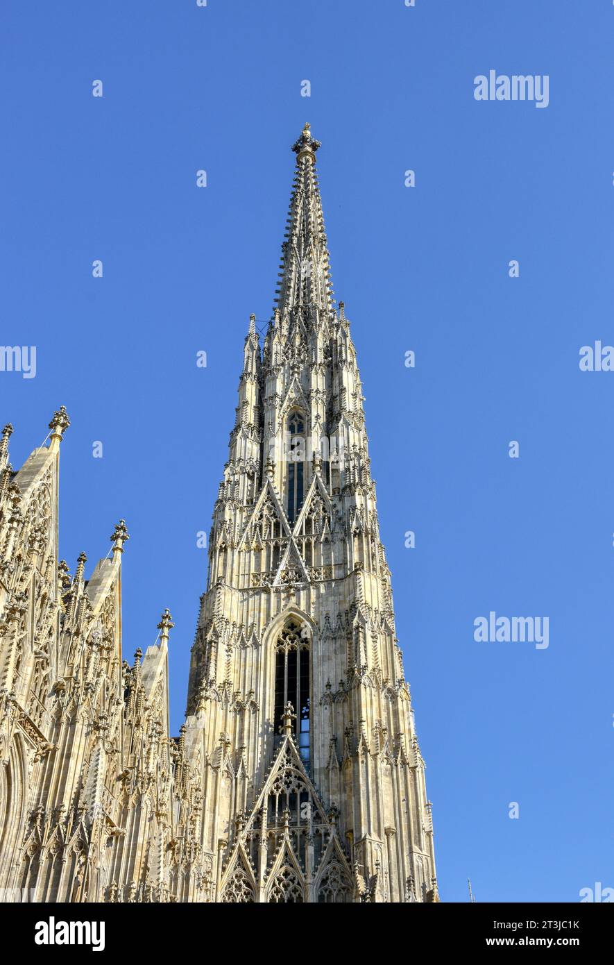 Wien, Stephansdom, Turm, Dom, Kathedrale, Kirche, Wahrzeichen, Denkmal ...