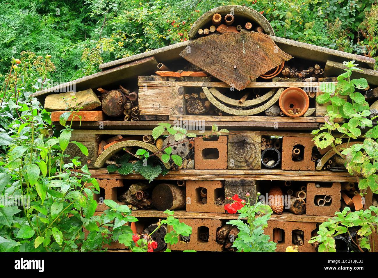 A Bug house in amongst the woodland Stock Photo - Alamy