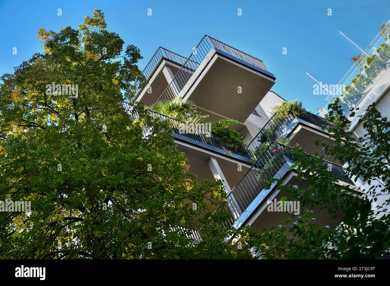 Wien, Innenhof, Blutgasse, Pawlatschenhof, Hoftrakt, Mittelalter, Oase ...