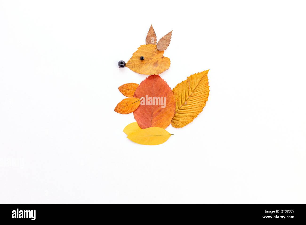 easy nature craft for kids, turtle made from leaves, ideas for autumn ...