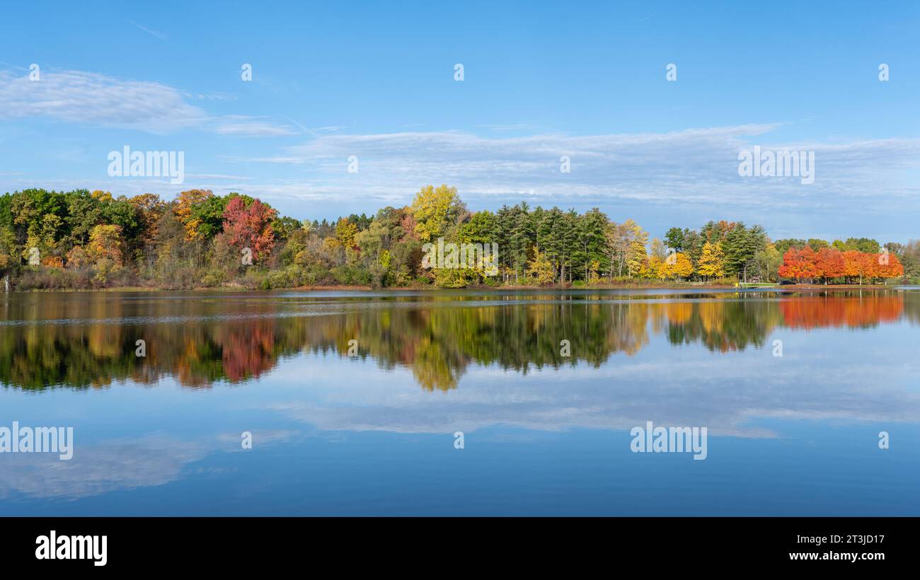 Michigan holly hi-res stock photography and images - Alamy