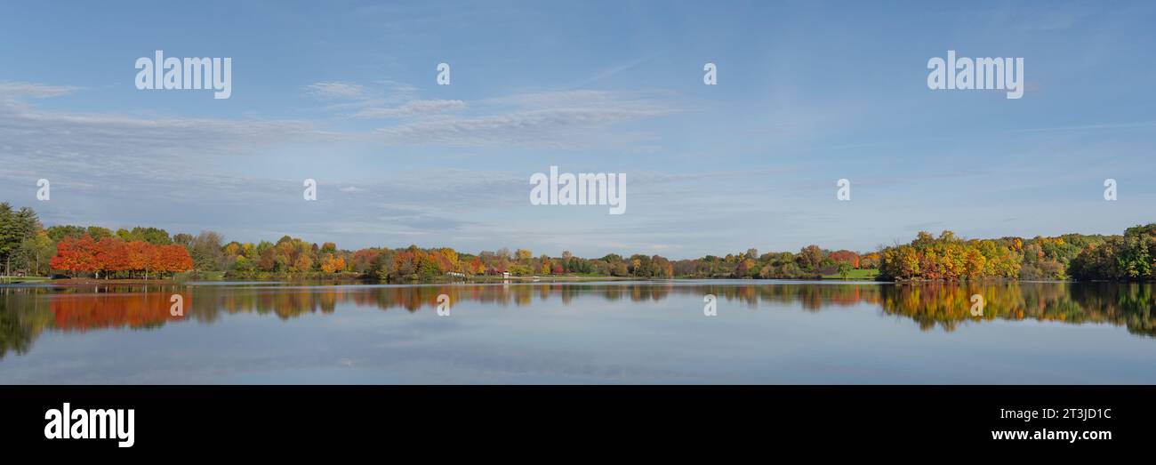 Michigan holly hi-res stock photography and images - Alamy