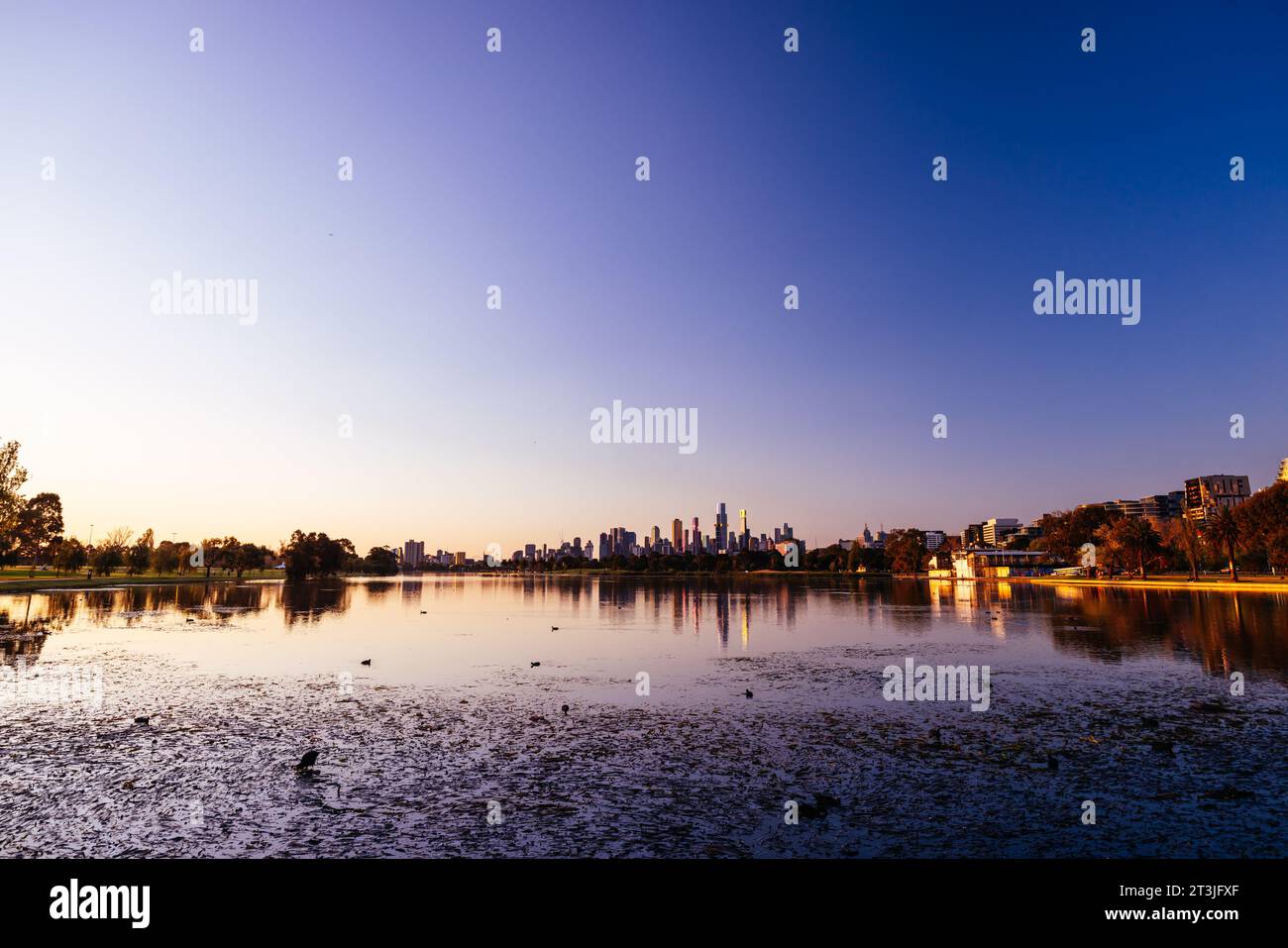 Albert Park at Sunset in Melbourne Australia Stock Photo - Alamy