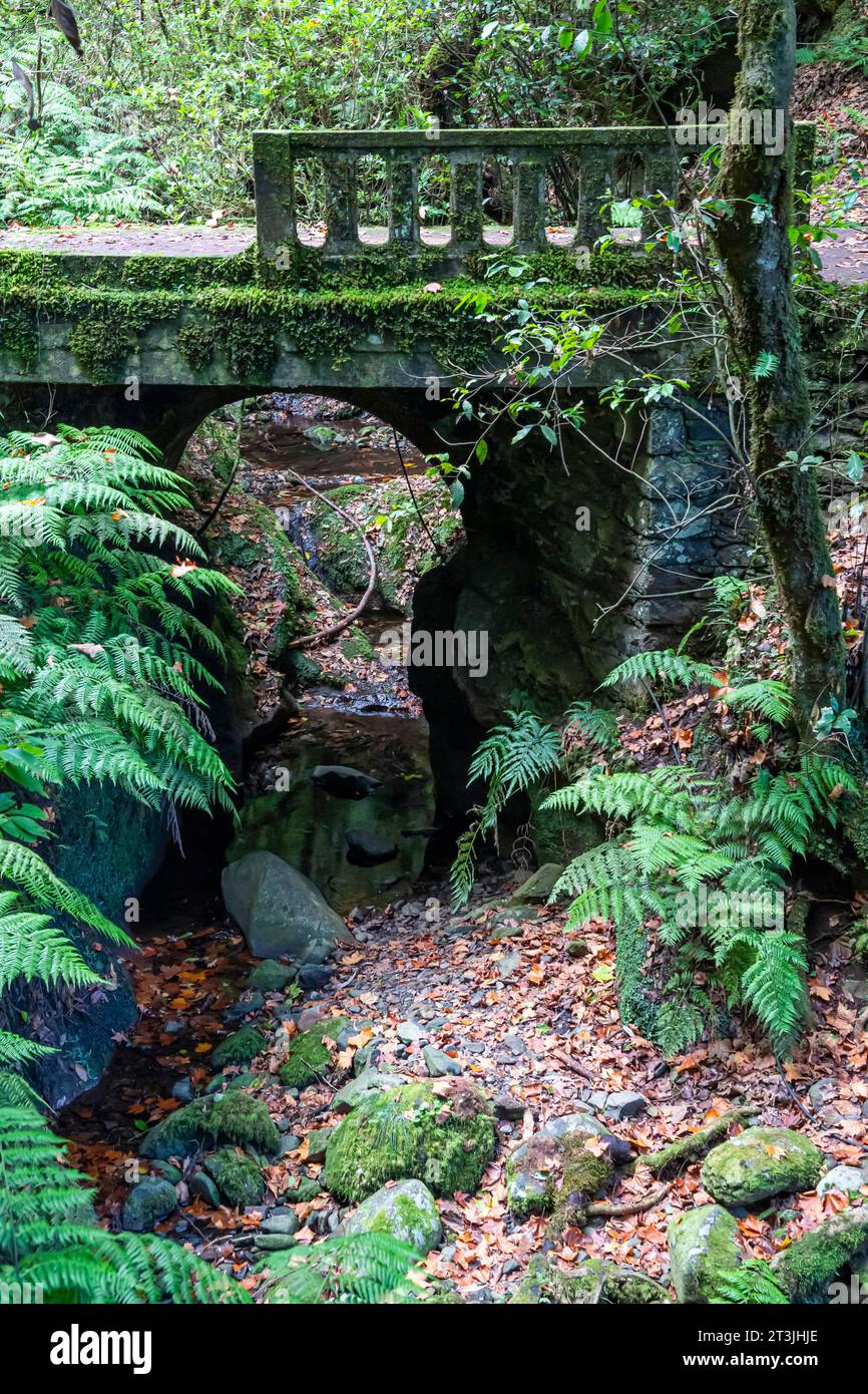 Idyllic bridge hi-res stock photography and images - Alamy