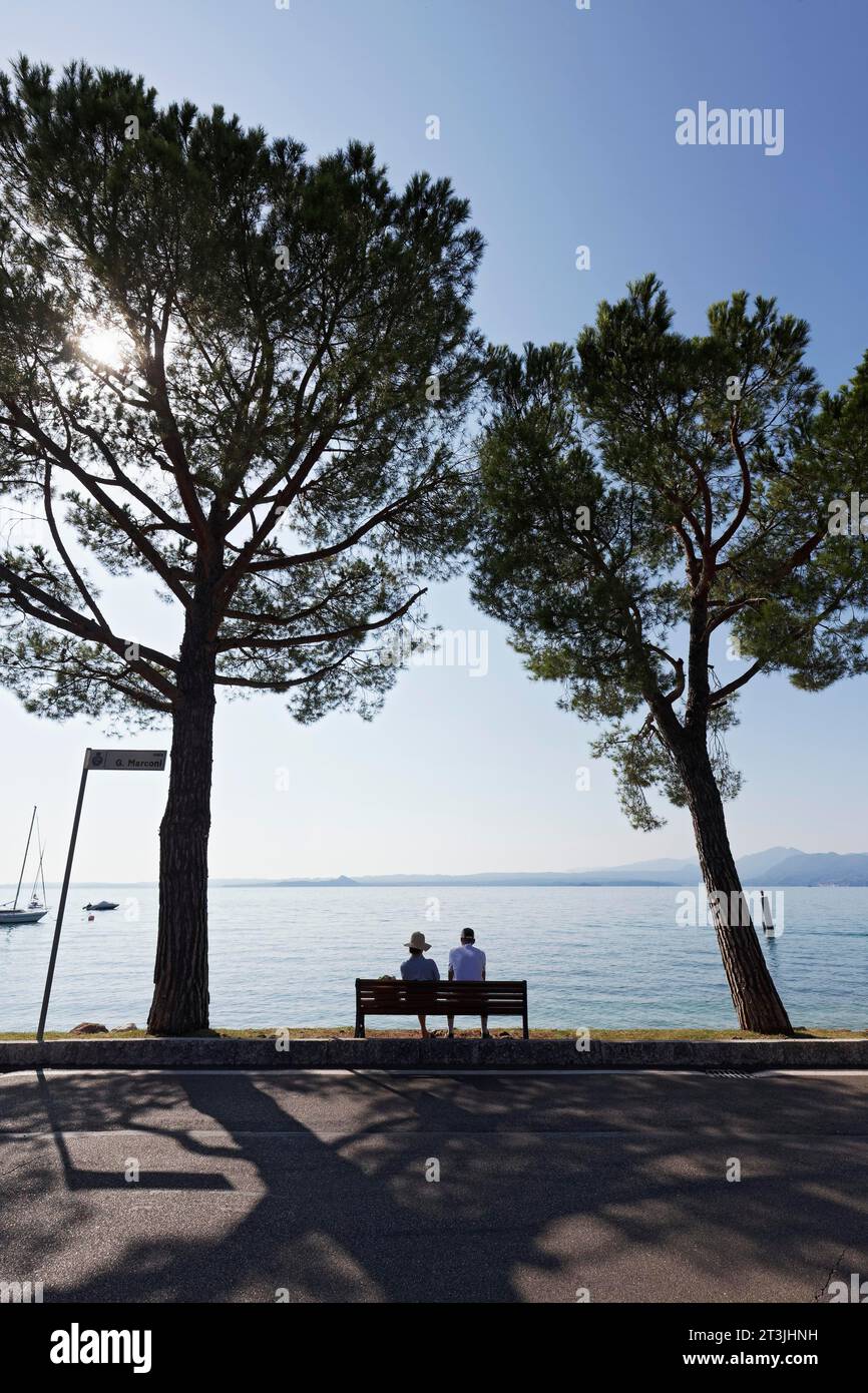 Lakeside promenade with pine trees, couple sitting on a bench, Torri del Benaco, Lake Garda east ...