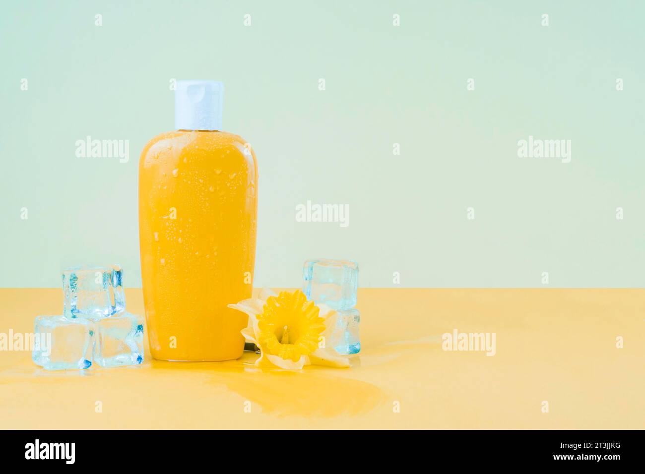 Crystal ice cubes with daffodil flower yellow sunscreen lotion bottle ...