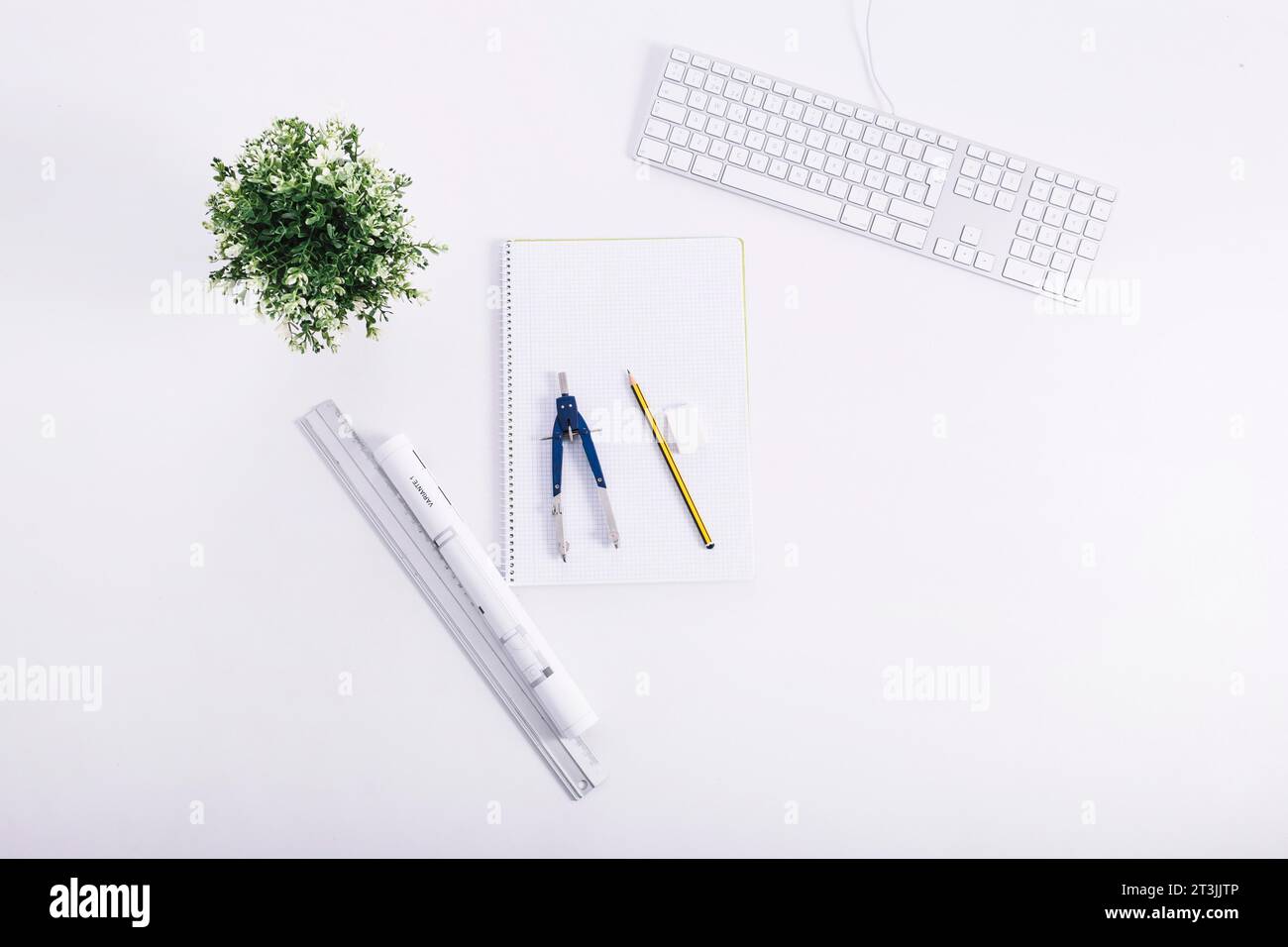 Drafting tools near plant keyboard Stock Photo - Alamy