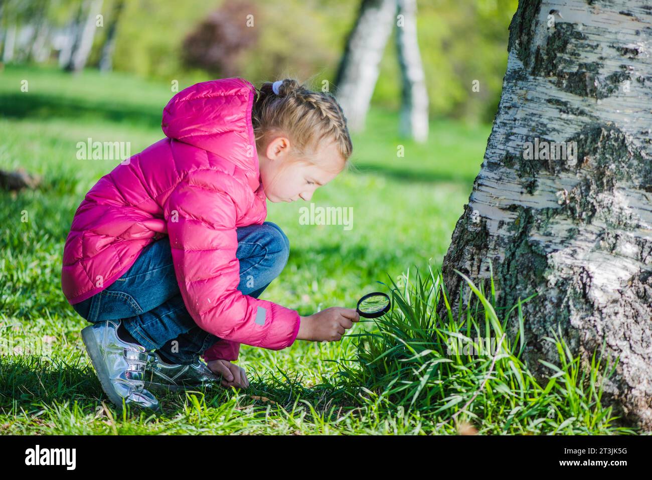 Magnifying lens plant hi-res stock photography and images - Alamy