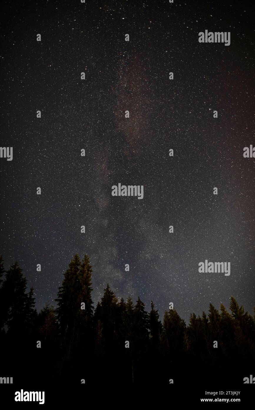 Midnight starry night with forest evergreen trees Stock Photo - Alamy