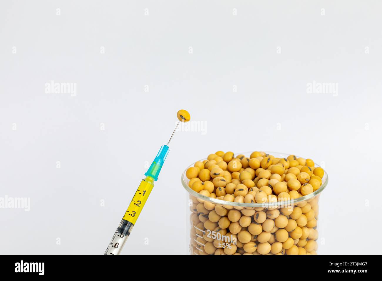 Soybeans with syringe. Genetically modified crops, herbicide and insect ... Soybeans with syringe. Genetically modified crops, herbicide and insect ...