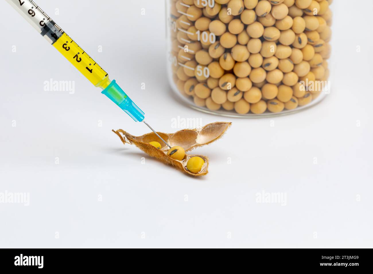 Soybeans in pod with syringe. Genetically modified crops, herbicide and ...
