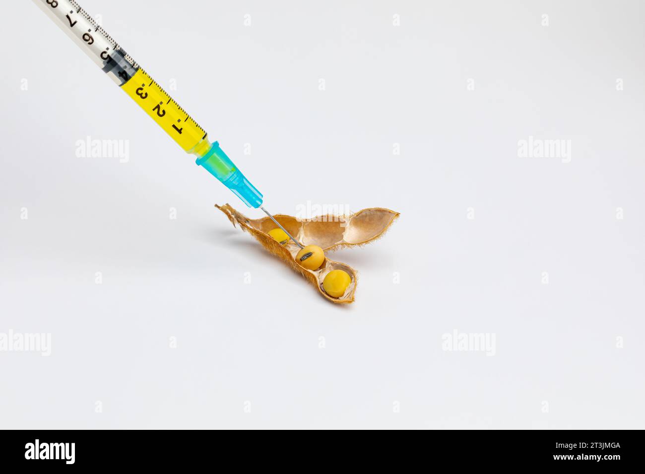 Soybeans in pod with syringe. Genetically modified crops, herbicide and ... Soybeans in pod with syringe. Genetically modified crops, herbicide and ...