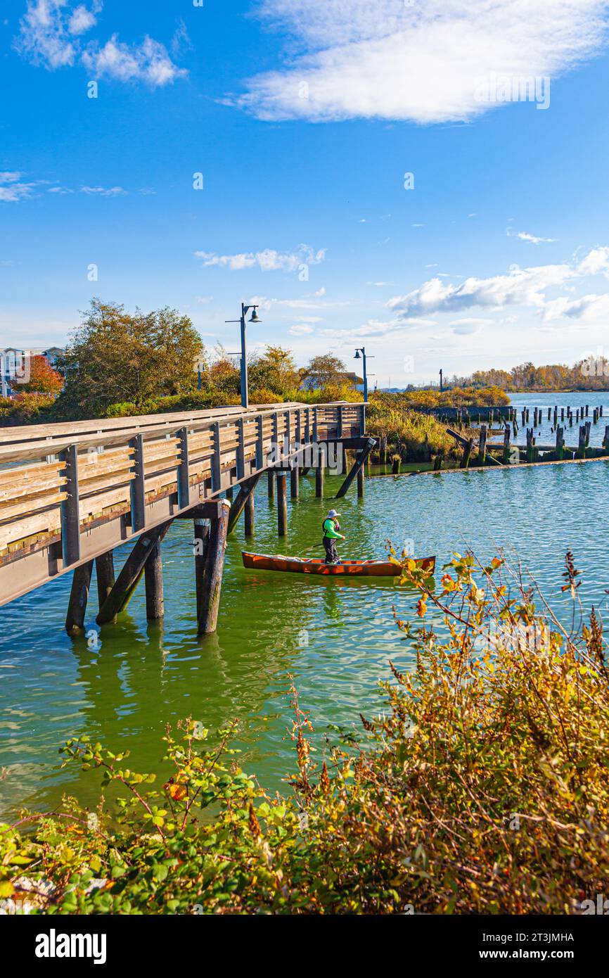 Lone paddler in a canoe on the Steveston waterfront in British Columbia ...