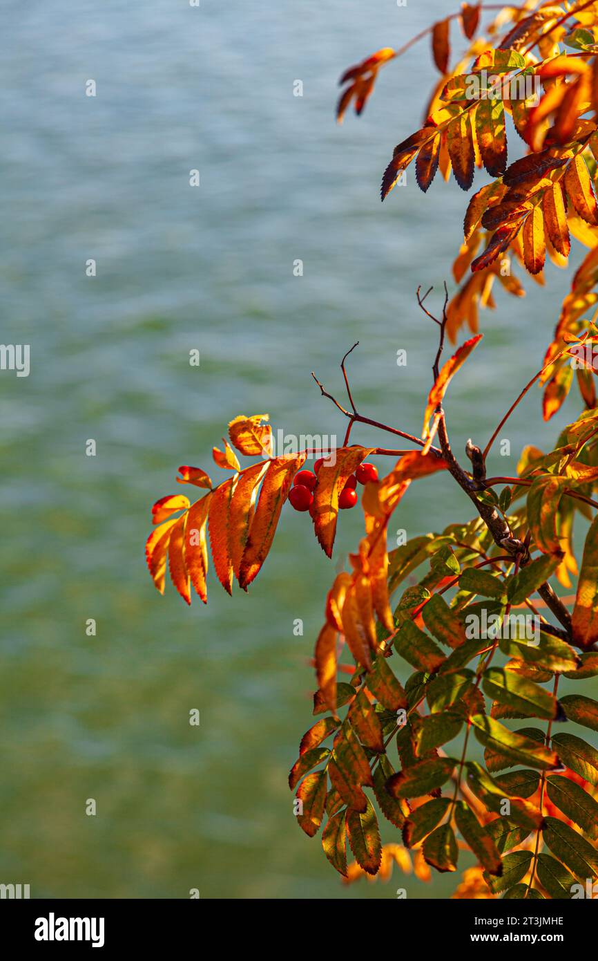 Signs of autumn hi-res stock photography and images - Alamy
