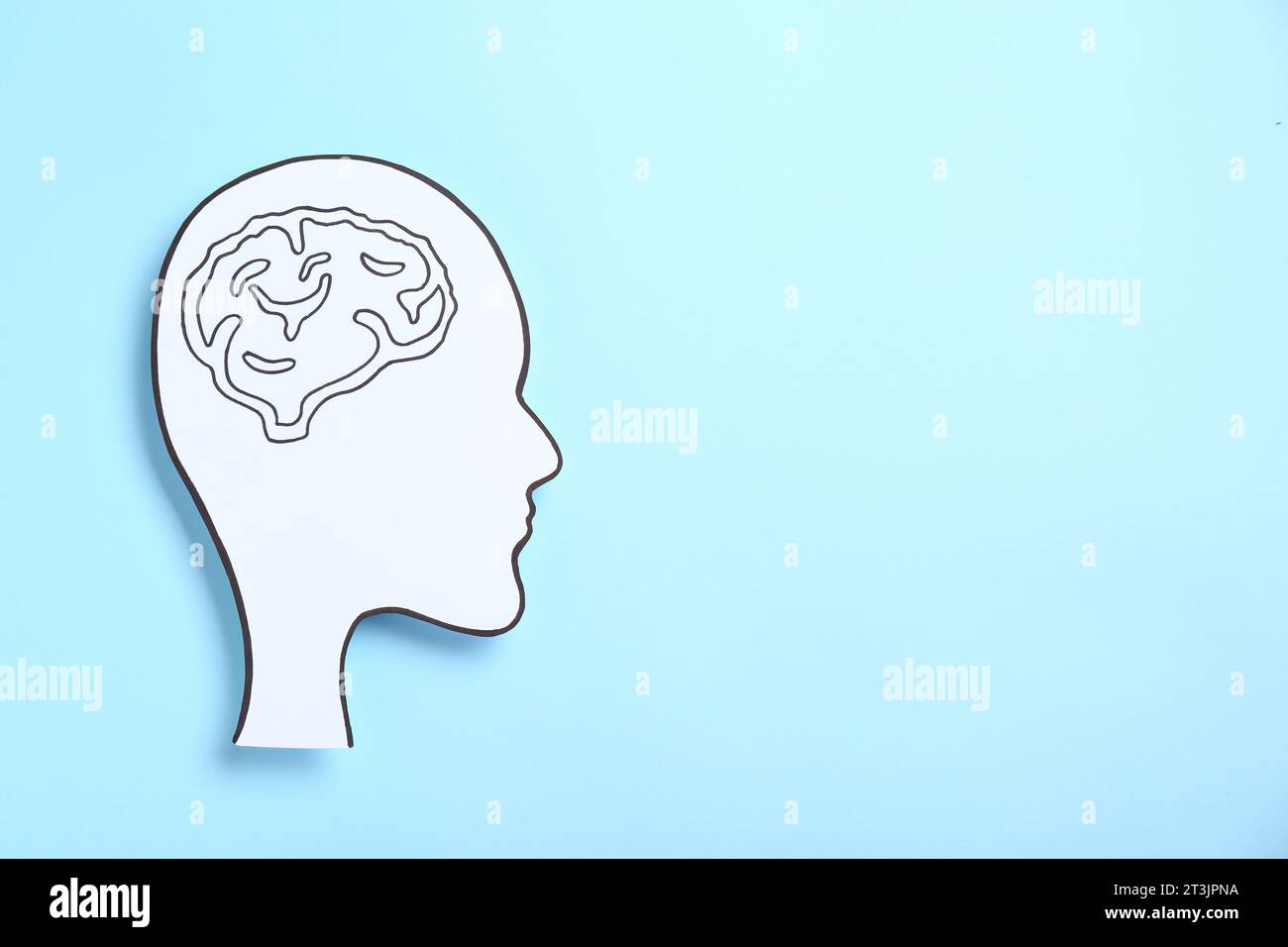 Paper human head cutout with drawing of brain on light blue background ...