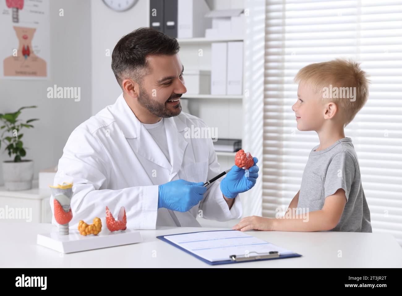 Endocrinologist showing thyroid gland model to little patient at table ...